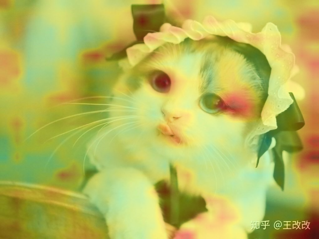 Timm可视化模型各阶段特征图和热力图，附完整代码 - 蔡不菜和他的uU们